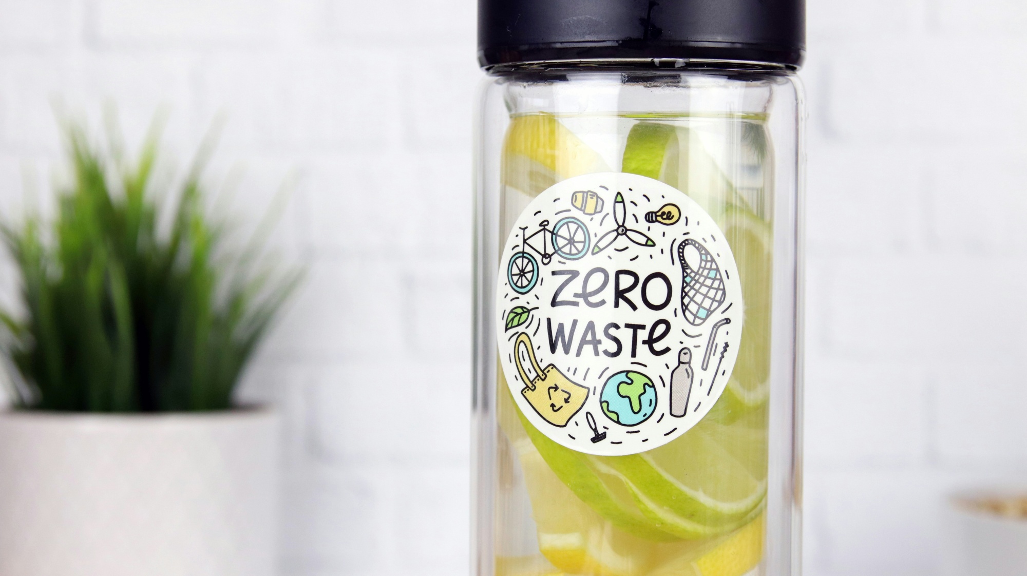 Zero-Waste Cooking Experience | Sustainable Cook-Along