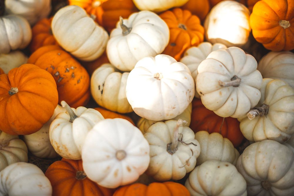 40 Fun Fall Icebreaker Questions For Team Build