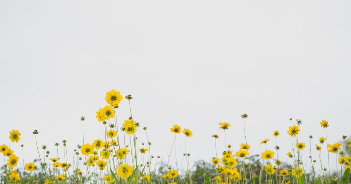40+ Fun Spring Trivia Questions And Answers For Work